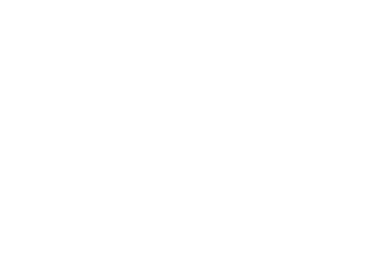 Aircraft - Synergy Aviation